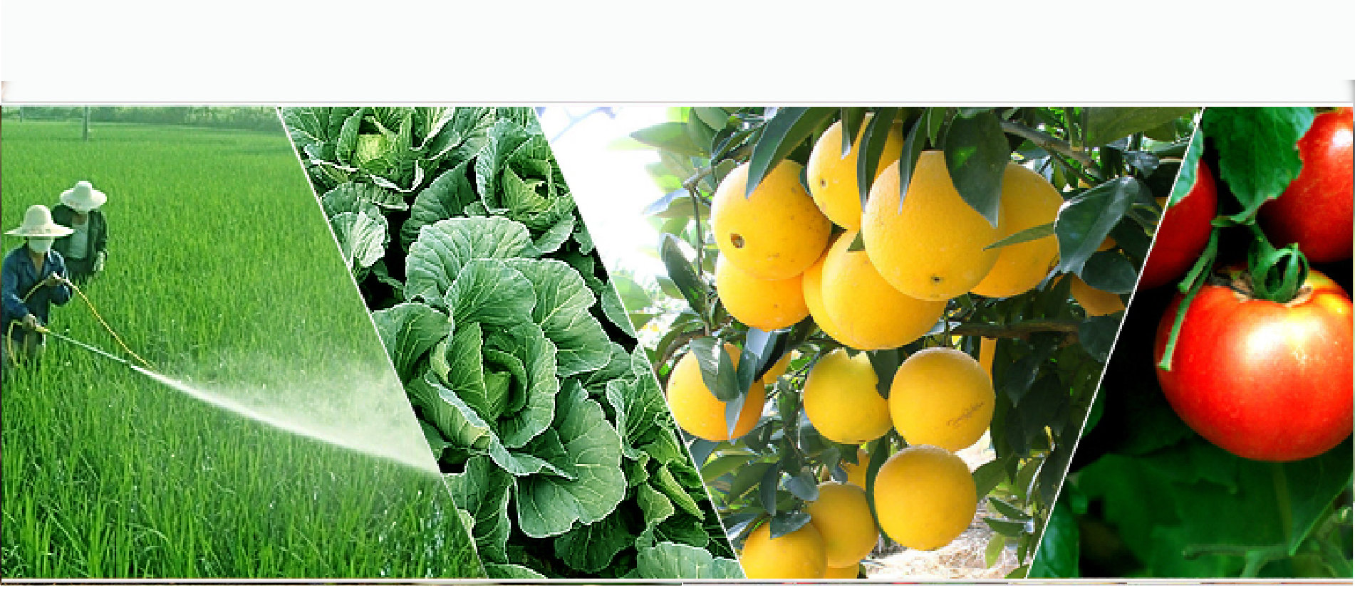 NikiFarmCare | Better living through better farming.